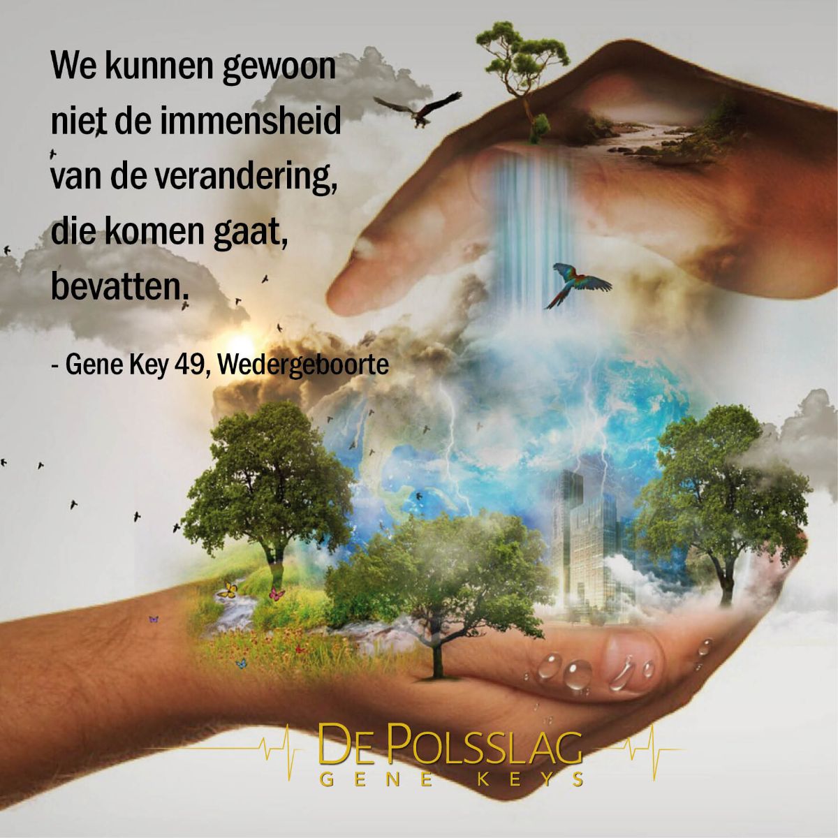 Audio Gene Key 49 De energie van de 49ste Gene Key beweegt